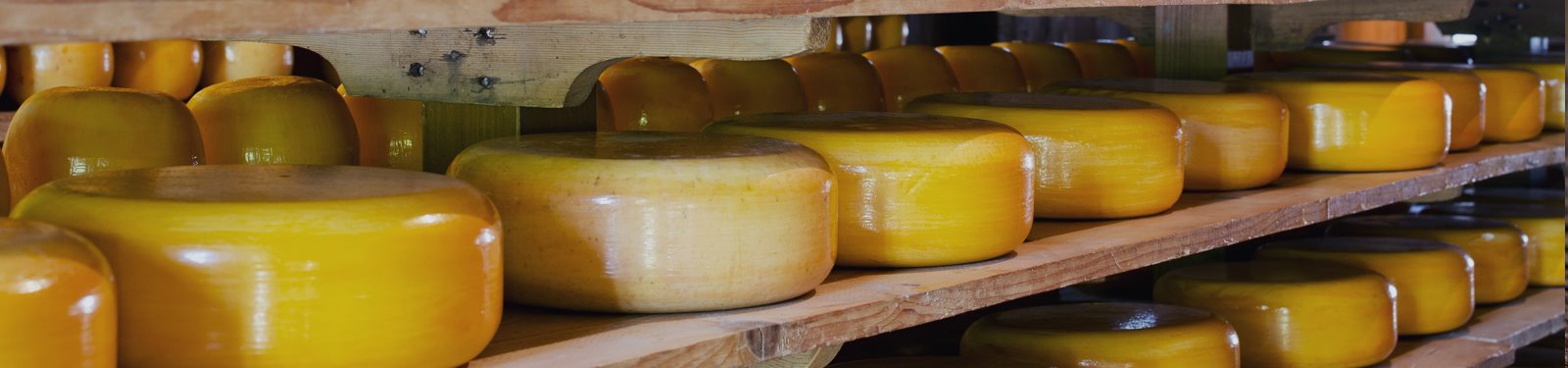 ERP system for your dairy company