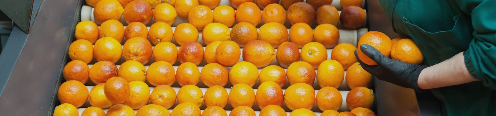 Foodware 365 for fresh produce industry challenges