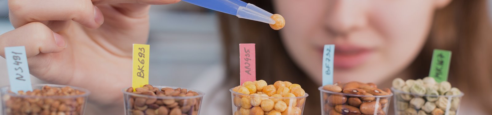 Food quality and safety compliance for your food business