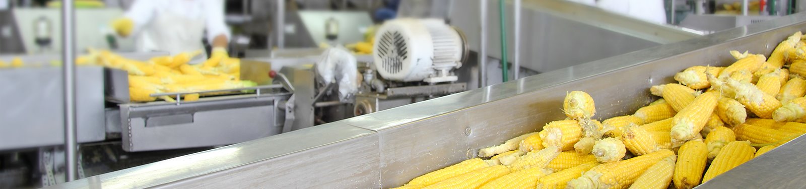 Recycling: What can you do as a food company?